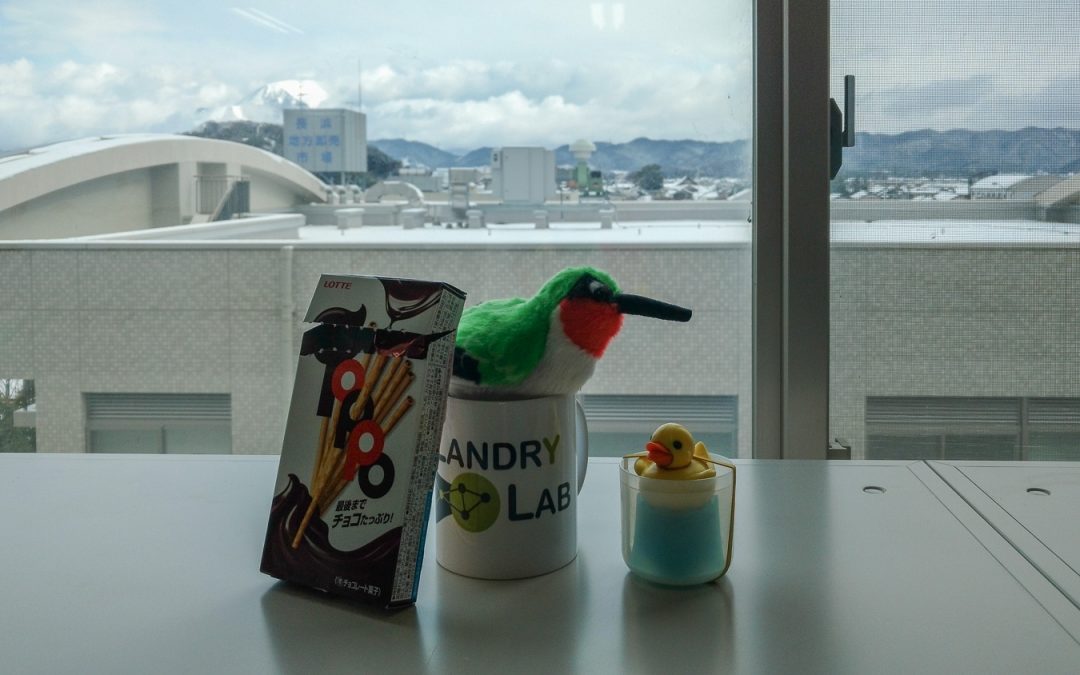 Mugfies | Landry Lab fr